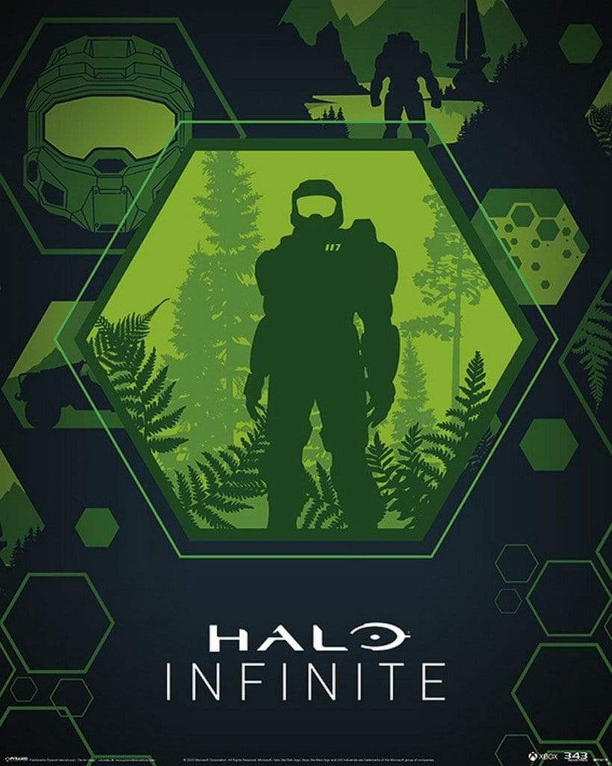 Poster Halo Infinite Master Chief Hex 40x50cm