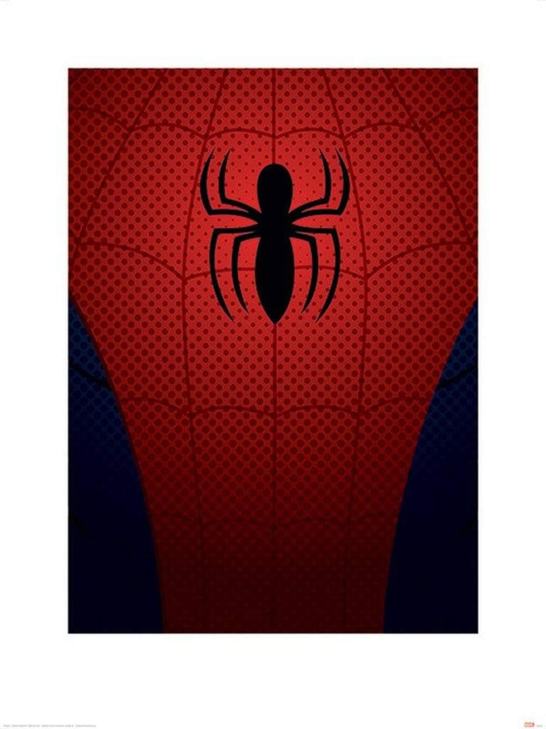 Poster Ultimate Spider-Man Spider-Man Torso 60x80cm