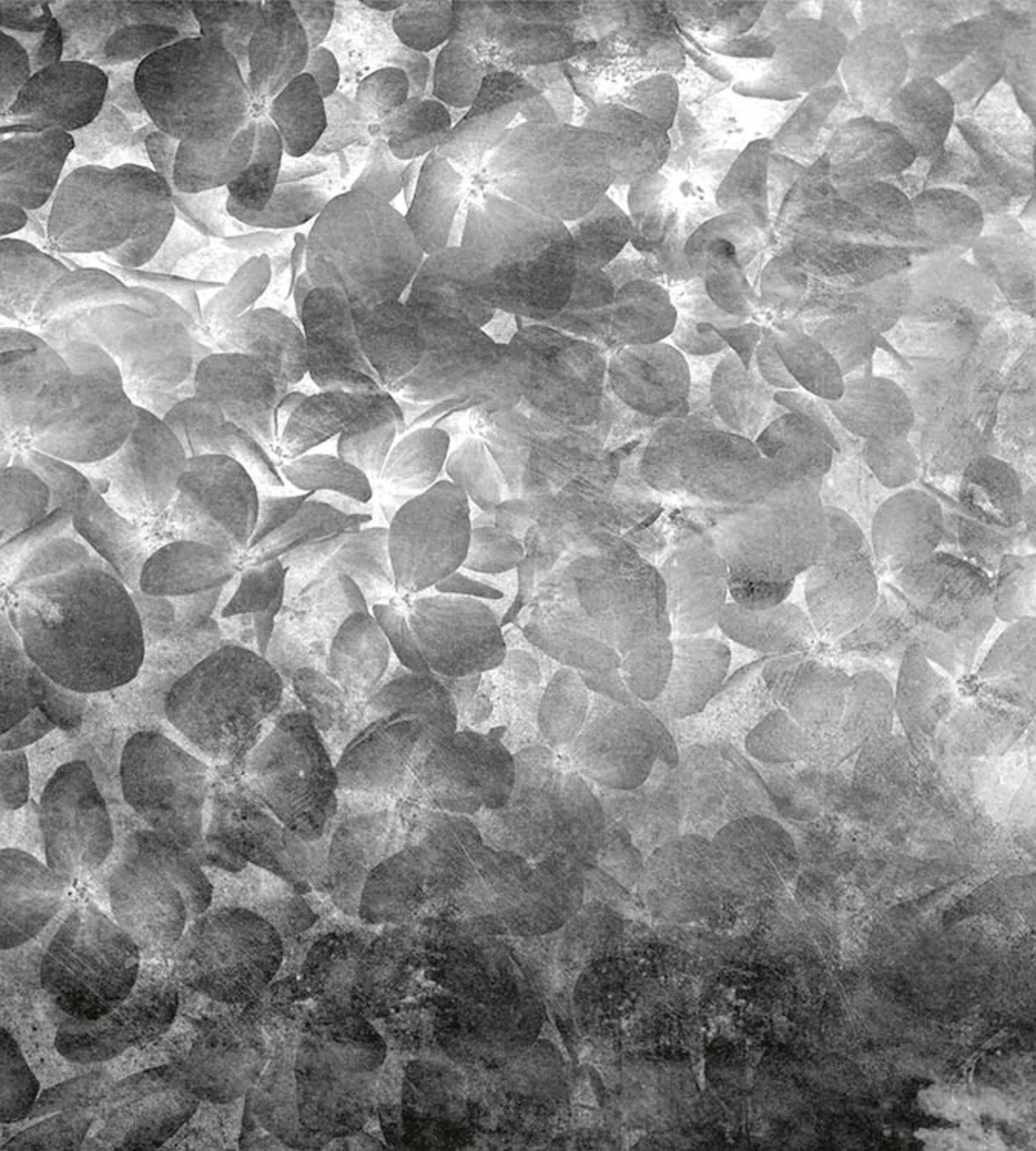Fototapete Apple Tree Abstract II 225x250cm | Yourdecoration.de